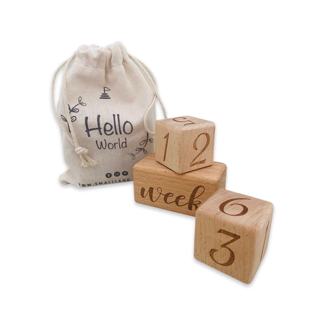 Baby Milestone Blocks | Small Land